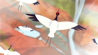 Puzzle streaming: where to watch movie online?