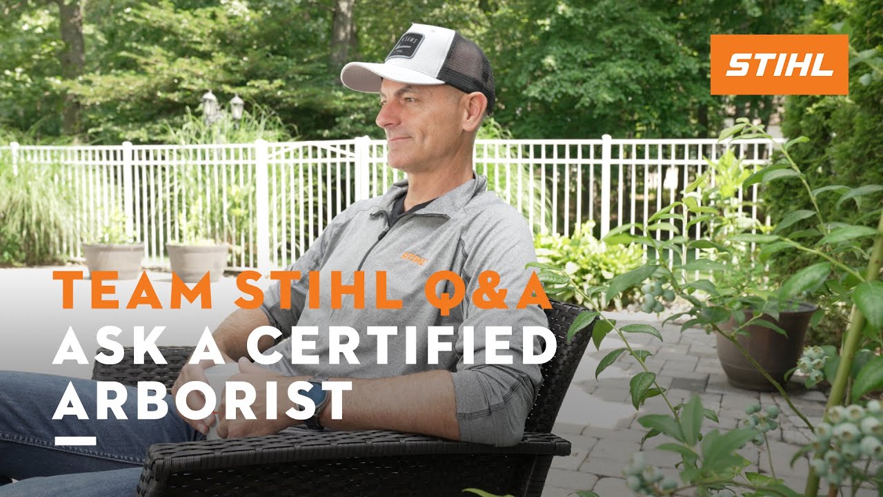 Learn About Trees with Certified Arborist, Mark Chisholm | STIHL