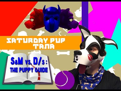 S&M vs D/s: The Puppy Guide (Tana) |The Cerberus Effect