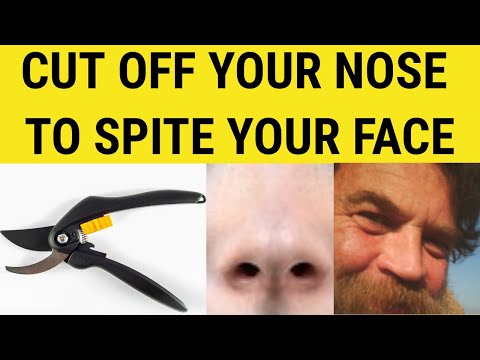 🔵 Idioms - Cut Off Your Nose to Spite Your Face - Cut Off Your Nose to Spite Your Face Explained