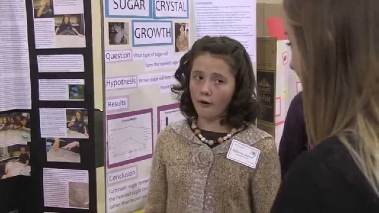 Science Fair 2015