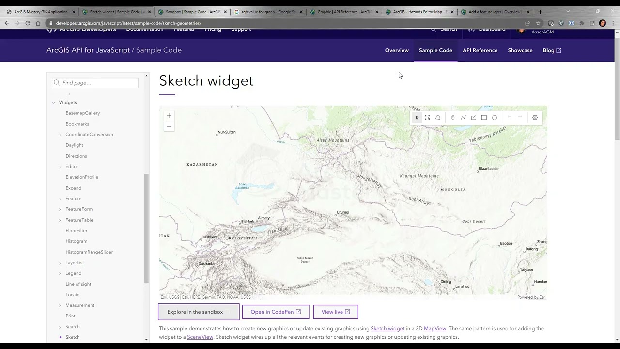 Adding And Drawing Graphics - ArcGIS Javascript API