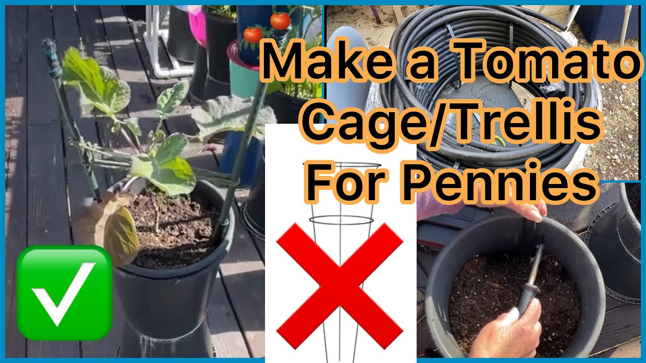 Perfect CHEAP How to Stake/Trellis in Flower Pot & Container Garden Stable Vertical Gardening Tubing