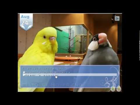 Steam Community :: Video