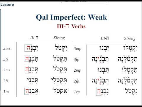 Chapter 16Qal Imperfect III ה Verbs
