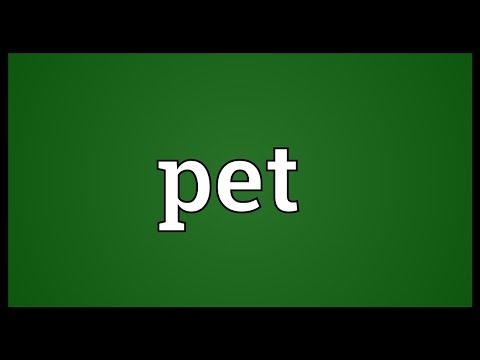 Pet Meaning