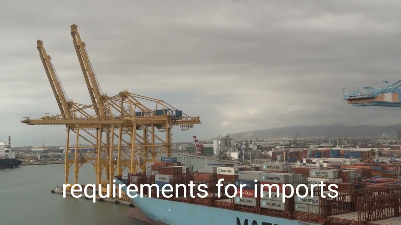 Mastering Customs Entry Procedures: Understanding Document Requirements for Import and Export Goods