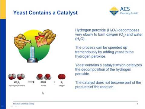 A Catalyst and the Rate of Reaction