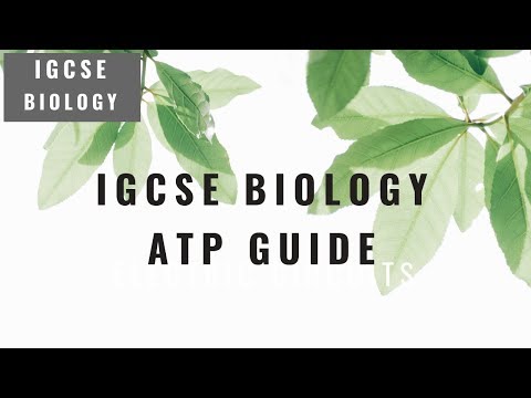 IGCSE Biology - Alternative To Practical Guide