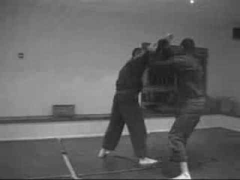 Ninjutsu technique of Renyo