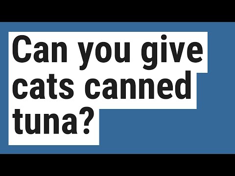Can you give cats canned tuna?