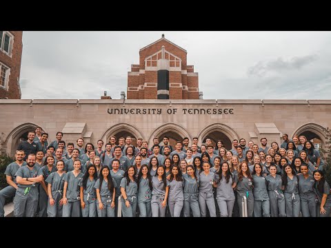 How To Choose the Dental School That Is RIGHT FOR YOU