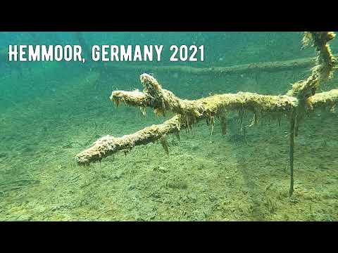 Scuba diving HEMMOOR, Germany - UNDERWATER FORREST