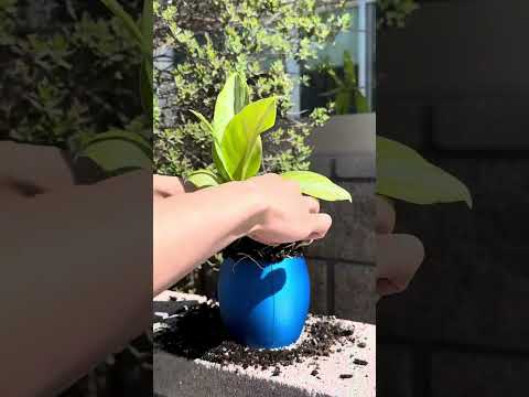 3D Printed Plant Pot