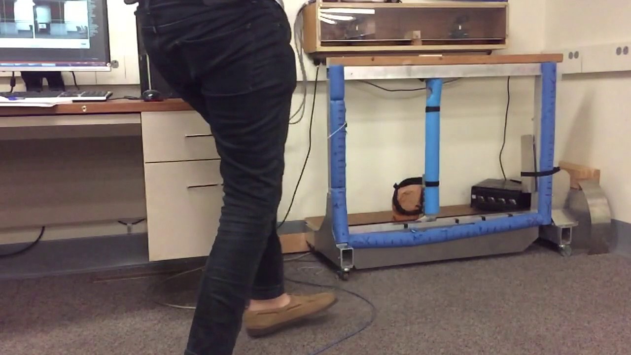 Autonomous Baseball Catcher