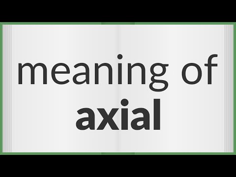 Axial | meaning of Axial