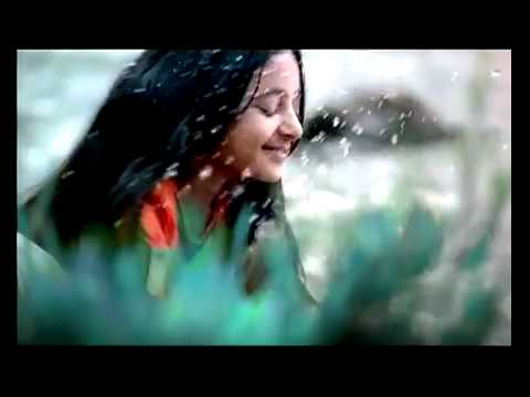 Ban Endosulfan-1.flv