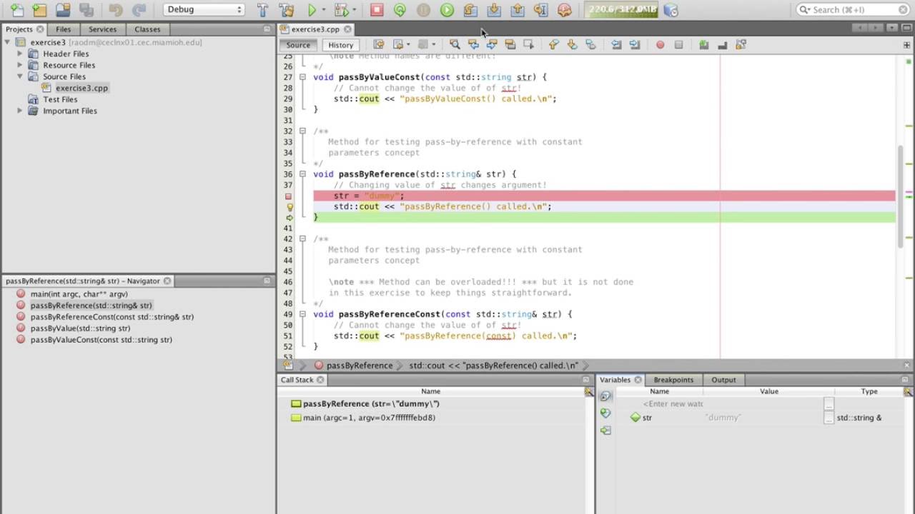 Using NetBeans Debugger to debug a C++ program