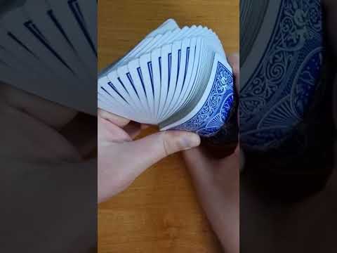 BICYCLE STANDARD PLAYING CARDS