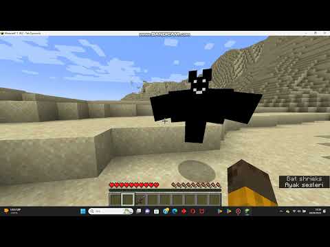 animals start with b 1.19.2 mod minecraft (bee and bat update)