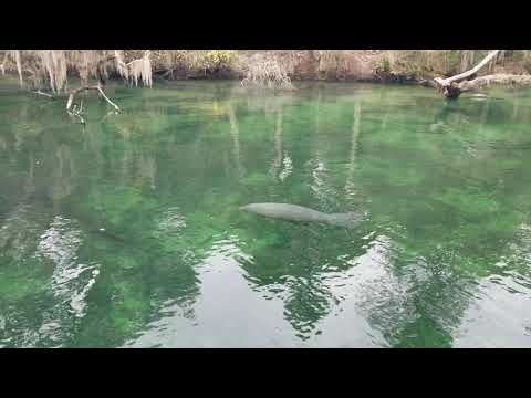 Blue Spring, FL | The Dyrt