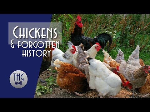 Mara's Spring Chicken — Elder Scrolls Online