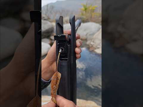best Airgun of hunting #hunting #birdhunting #airgunhunting #huntingdog #duckhunting #birddog