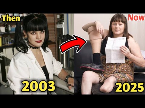 NCIS (2003) Cast: Then and Now 2025 [22 Years After] - How They Changed