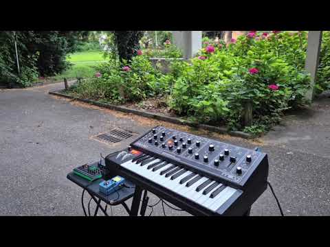 Moog Grandmother ambient arpeggios open air | Montriond, Lausanne | @electromelifera