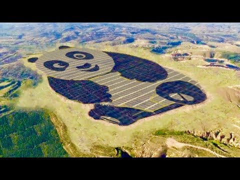 Giant Panda Shaped Solar Farm in China – Cute Renewable Energy | For ...