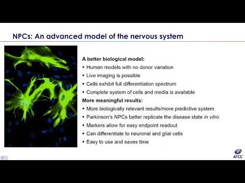Neural Progenitor Cells Better Biological Models of Neurodegenerative Disease Webinar