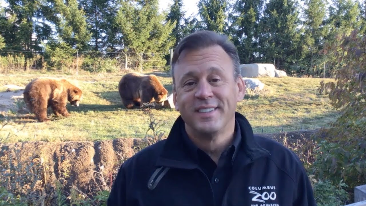How to Be Bear Aware