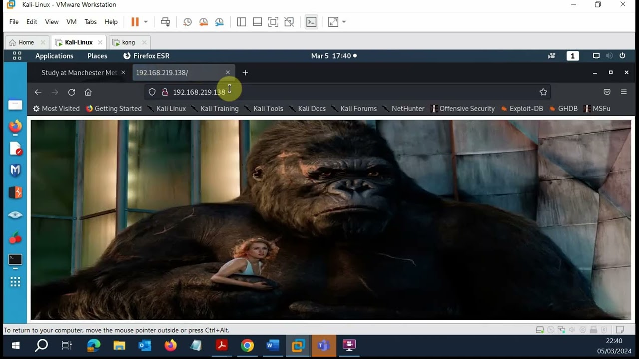 Scanning and Brute Forcing Web Directories and Objects