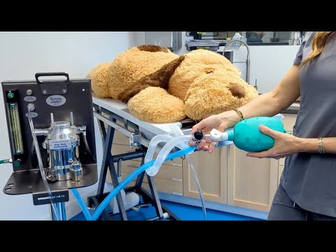 Guide to Installing and Using the SafeSigh Non-Rebreathing System
