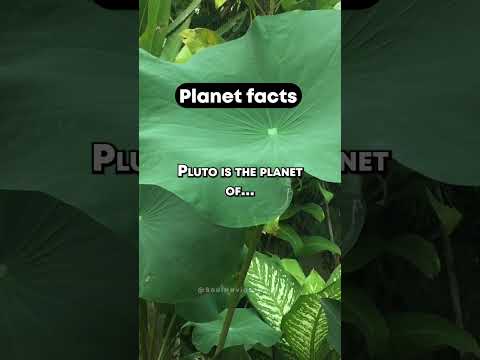What does the Planet Pluto mean in Astrology?