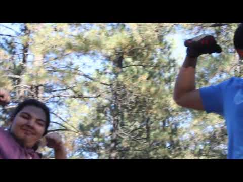 Collecting Wood from Santa National Forest