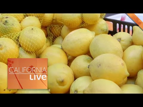 A Chef's Playground at the Santa Monica Farmer's Market | California Live | NBCLA