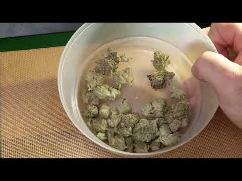 Got Some Really Good Flower From Rise Dispensary
