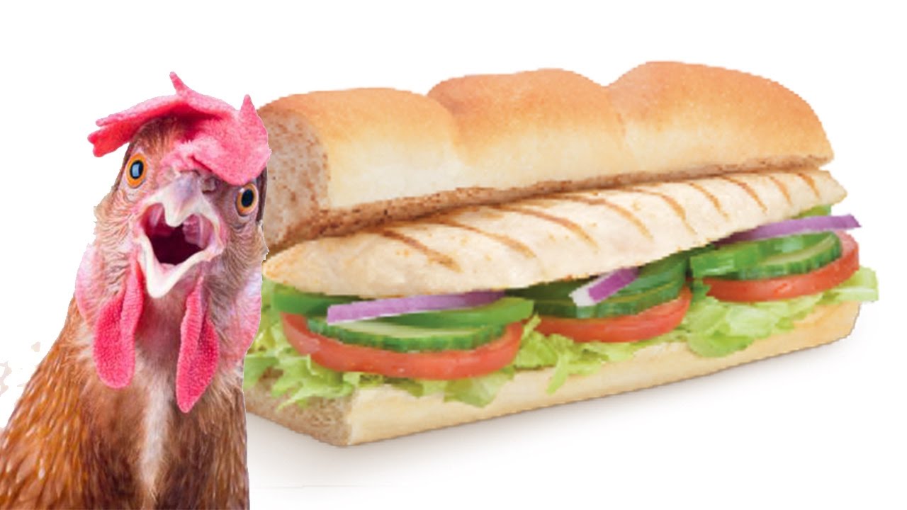 Subway Chicken Isn’t 100% Chicken