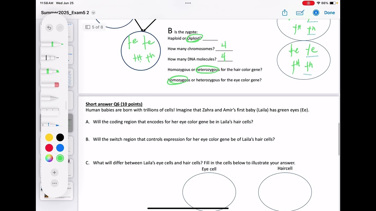 Summer 2025: short answer exam 5 video key