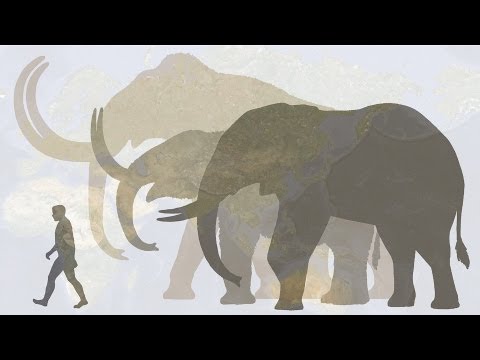Mammoth Cloning Begins: De-extinction Effort In Siberia To Revive ...