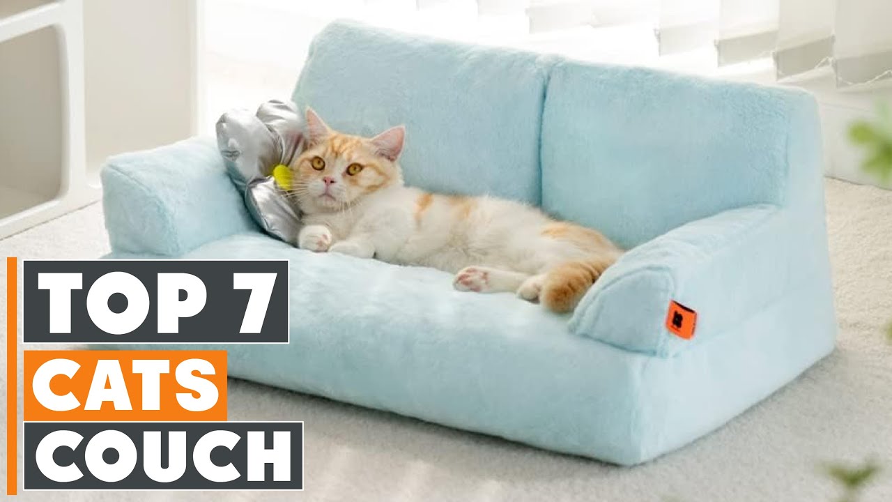 Top 7 Best Couch for Cats: Comfort and Durability Combined