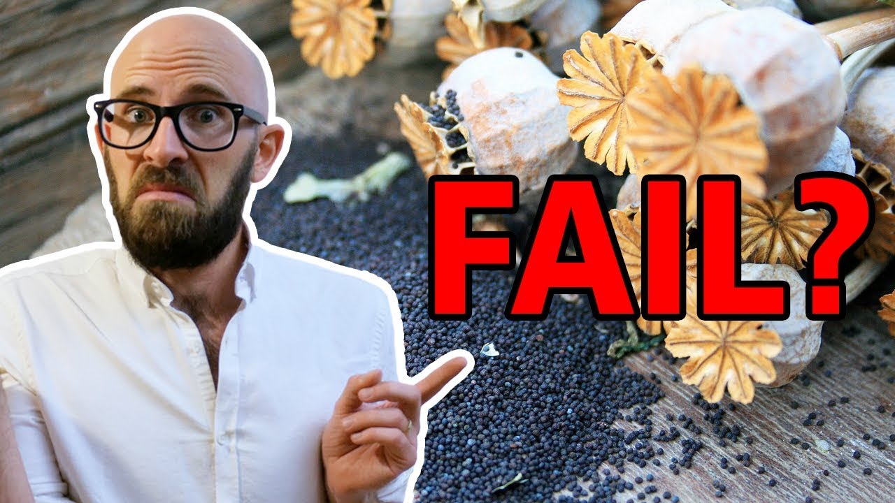 Can Eating Poppy Seeds Really Cause You to Fail a Drug Test