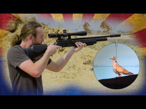 The FX Streamline\'s Debut Hunt (4K) - HuntPost.com