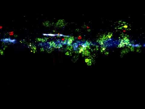 3D VR Fireworks 360 SBS 8k