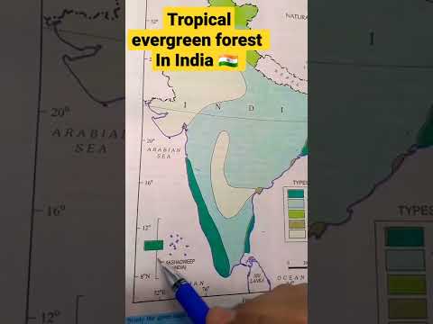 Tropical Evergreen 🌲 forest in India 🇮🇳 || #upsc #shorts