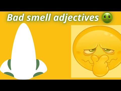 bad smell words