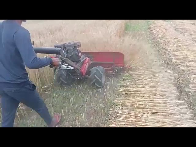 Gehu Cutting Machine - Black Gram Harvester Machine / Power Reaper ...