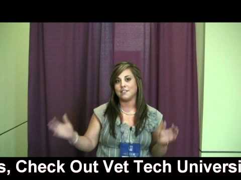 Online Vet Tech Course