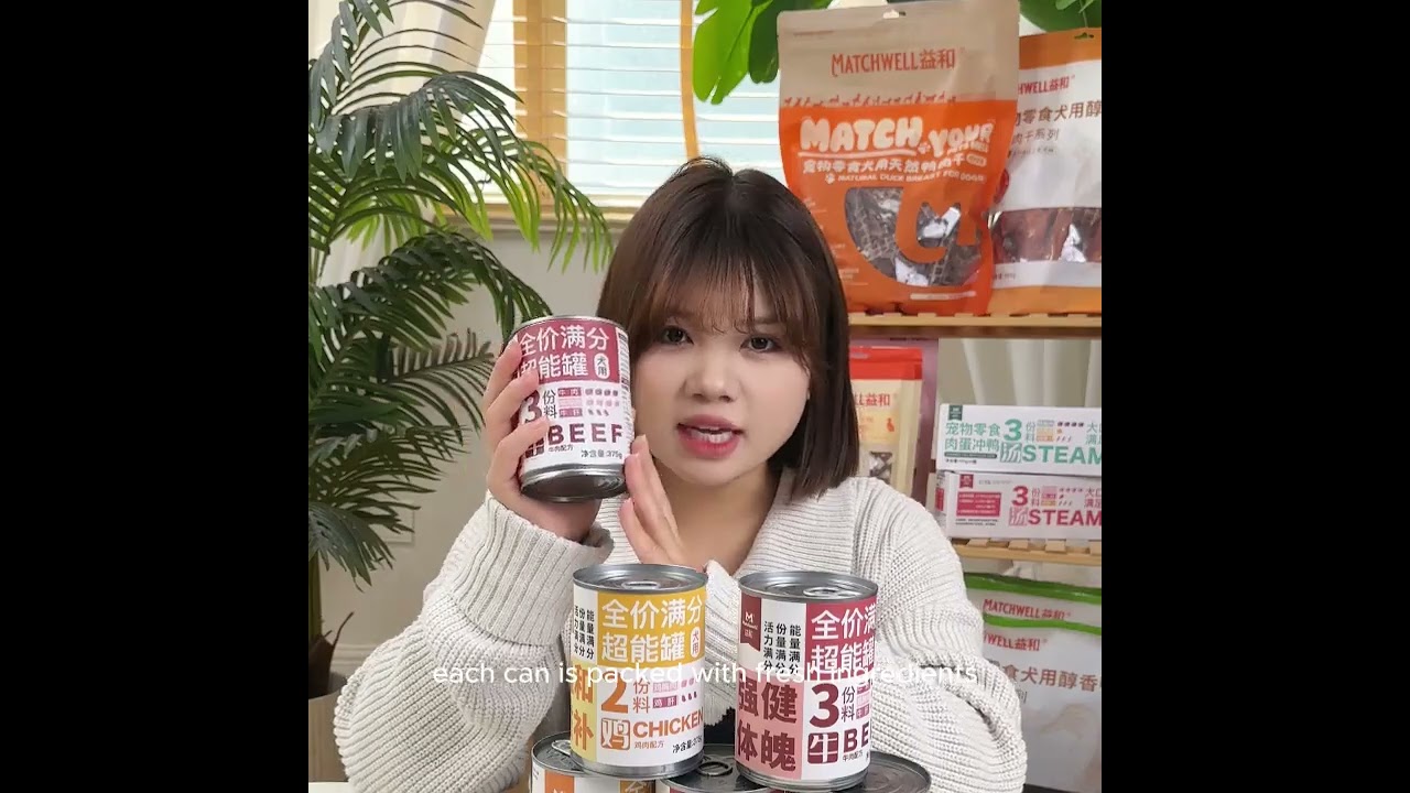 Wholesale Premium Dog Food: Yihe Wet Canned Dog Food for Small & Medium Dogs